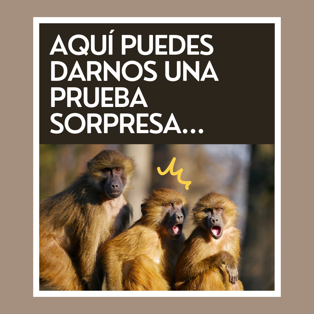 ¿Te sientes aburrido y quieres reírte un poco? Aquí tienes algunos ...