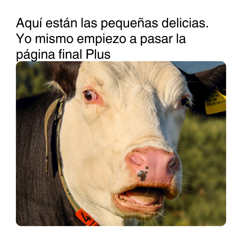 ¿Te sientes aburrido y quieres reírte un poco? Aquí tienes algunos ...