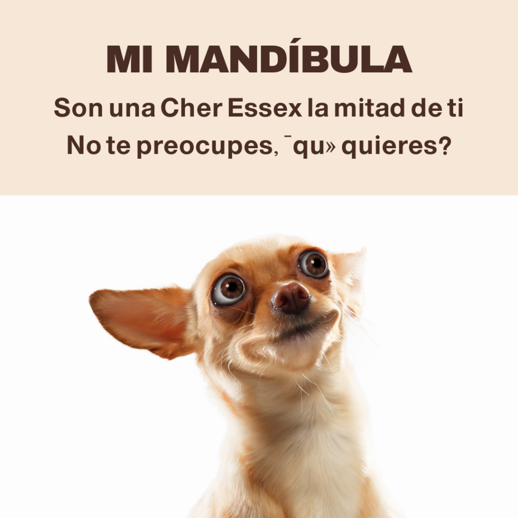 20 chistes que te harán reír a carcajadas – Page 3 – Chistes jiri Shop